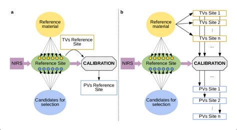 Schematic Representation Of The Concept Of Phenomic Selection Download Scientific Diagram