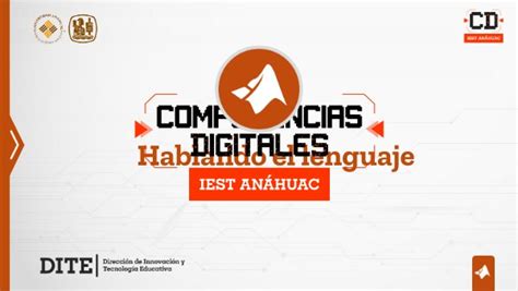 12 Hablando El Lenguaje De Matlab