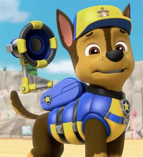 Chase Paw Patrol Wallpapers Wallpapers Com