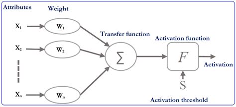 Structure Of The Neuron Commonly Used In Neural Networks Download Scientific Diagram