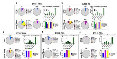 Rna Seq And Tumor Purity Validation Of Pdcs Immune Cell Type