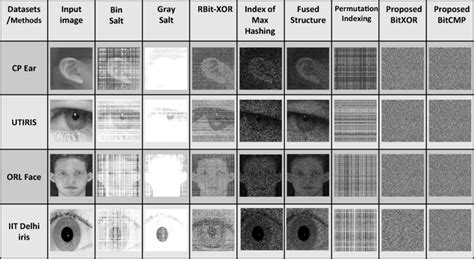 Qualitative Analysis Among Color Cancelable Biometric Template Download Scientific Diagram