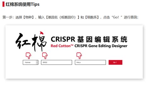 【满血归来】如何抓住crispr基因编辑诺奖的热潮拯救你的科研？ 源井生物