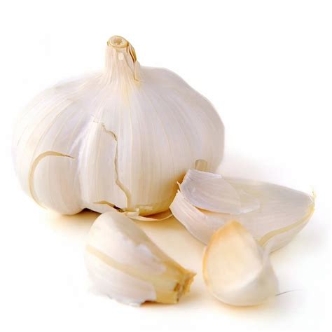Garlic Extract Allium Sativum 1 Allicin At Best Price In Greater Noida