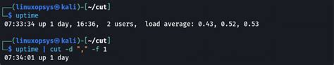 Cut Command In Linux With Useful Examples