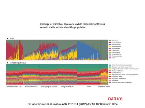 Discussion Of Food Sex Travel Paper Ppt Download