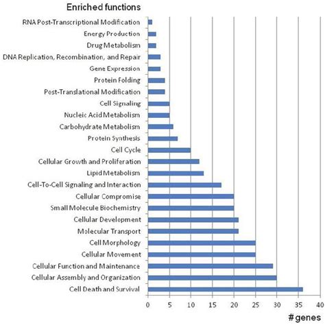 Functional Categories Containing Enriched Molecular And Cellular Download Scientific Diagram