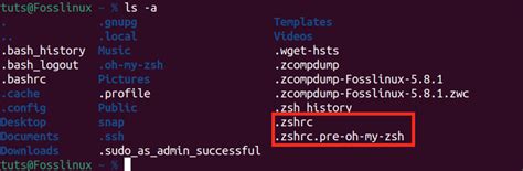 Guide To Installing And Customizing Oh My Zsh On Ubuntu