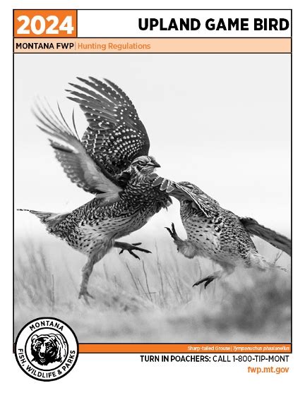Hunt Hunting Regulations Montana Fwp