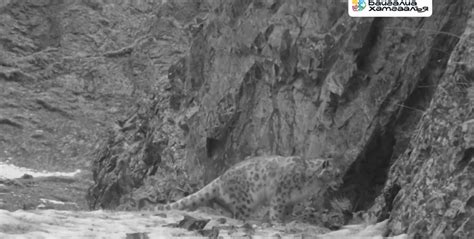 БАЙГАЛИА ХАМГААЛЪЯ