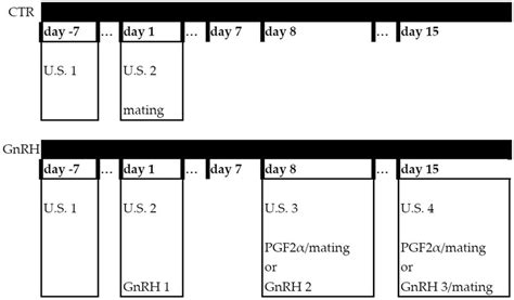 Experimental Protocolthe Figure Shows The Exact Timing At Which Download Scientific Diagram