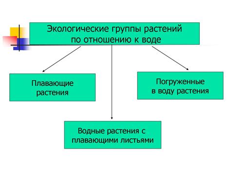 Экологические группы растений по отношению к воде Водные растения презентация онлайн