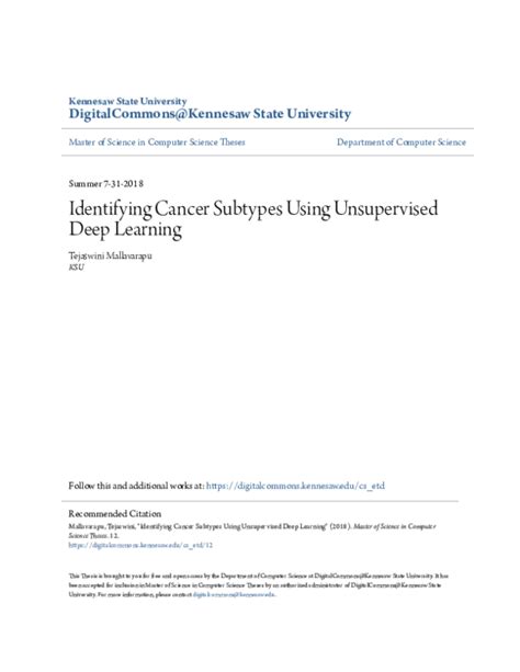 Pdf Identifying Cancer Subtypes Using Unsupervised Deep Learning
