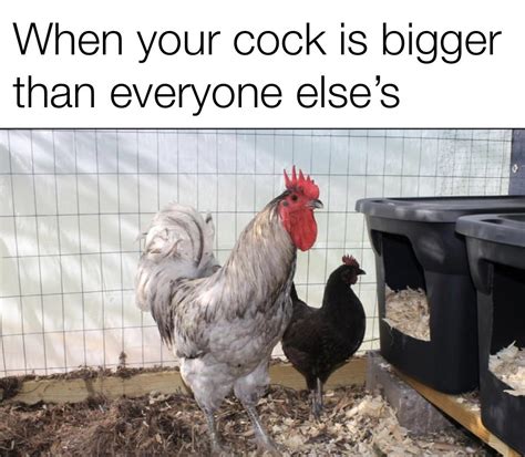 Big Cock Energy Rmeme