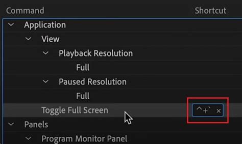 Comprehensive Tutorial On Full Screen Preview In Premiere Pro
