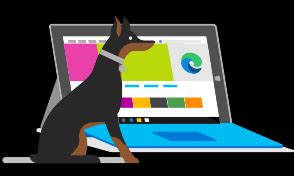 Microsoft Edge WebView Microsoft Edge Developer