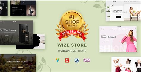 Wizestore Multipurpose Woocommerce Wp Theme Asthemes