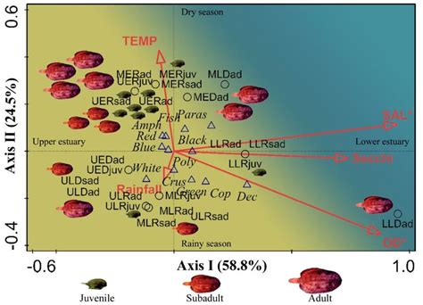 Canonical Correspondence Analysis Cca Triplot For Correlations