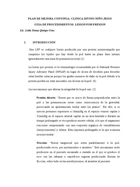 Plan De Mejora Continua Lpp Lelia Descargar Gratis Pdf Herida Piel