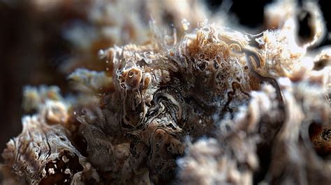 3d Rendering Design Und Visualisierung Autodesk