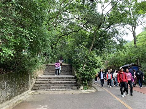 游在贵州拍一拍 五一到黔灵山公园感受贵阳本地的慢生活 动物 罗昌 何欣