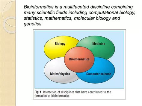 Bioinformatics Pptx