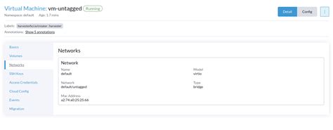 [backport v1 1] [bug] custom network config is not presistend · issue
