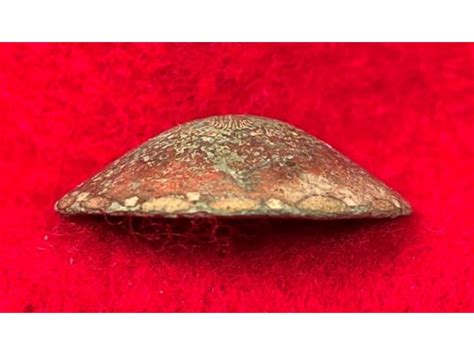 Gilded Dome Coat Button