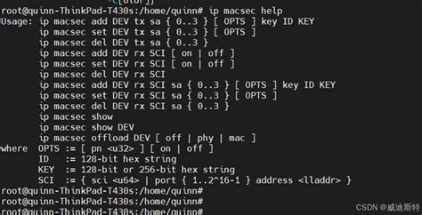 linux网络命令：用于配置和管理媒体访问控制 mac 安全的命令ip macsec详解 linux macsec csdn博客
