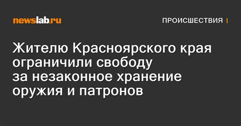 Жителю Красноярского края ограничили свободу за незаконное хранение оружия и патронов