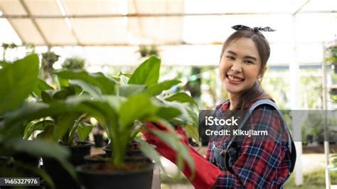 젊은 아시아의 아름다운 여자가 정원을 돌본다 여름날 밖에서 체크무늬 셔츠와 밀짚모자를 쓰고 웃고 있는 여성 25 29세에 대한 스톡 사진 및 기타 이미지 Istock