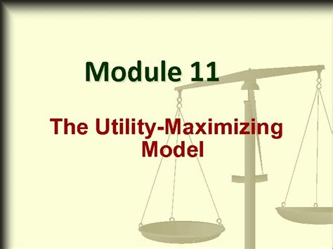 Module The Utility Maximizing Model Objectives