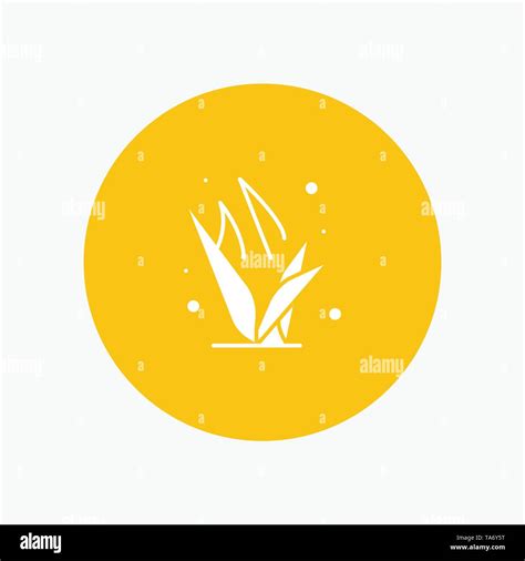 Grasses Nature Summer Stock Vector Images Alamy