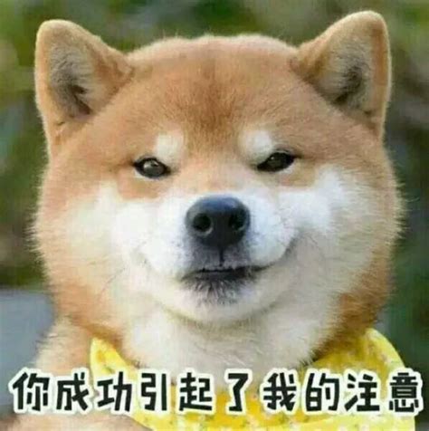 你引起了我的注意 文字 言辞 第8页 大山谷图库