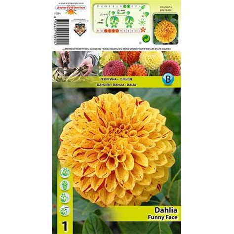 Georgína Funny Face (70483): kúpiť poštou na Slovensku | internetový ...