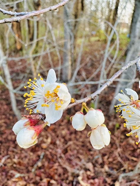 Three Components To Self Compassion