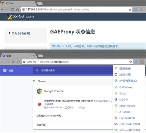用xx Net31210chrome无法翻墙 · Issue 11279 · Xx Netxx Net · Github