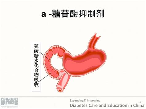 糖尿病 药物治疗 ppt download