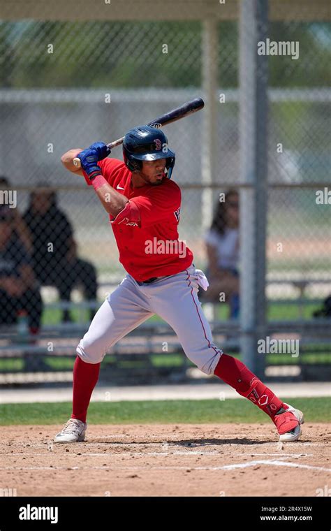 Boston Red Sox Alexis Hernandez 31 At Bat During An Extended Spring