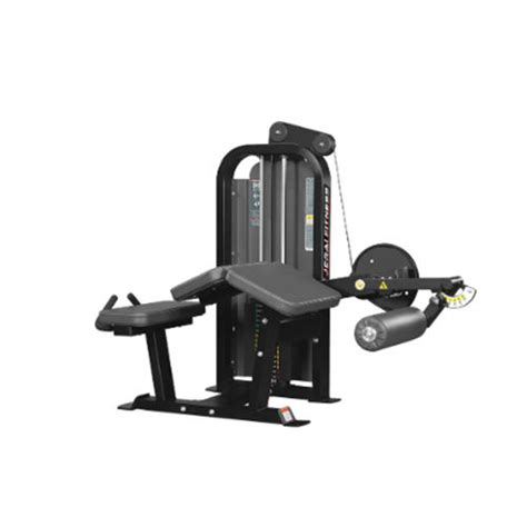 Prone Leg Curl Application Gain Strength At Best Price In Mumbai