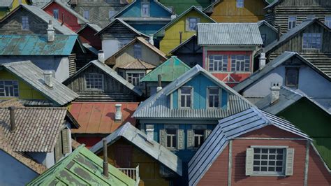 Procedural Forest Unityhub Pro бесплатные ассеты для Unity и Unreal Engine