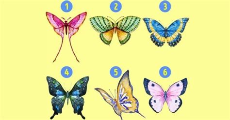 រើសមេអំបៅដែលអ្នកចូលចិត្ត អាចប្រាប់ពីបុគ្គលិកលក្ខណៈរបស់អ្នក Khmerload Cambodia Latest News