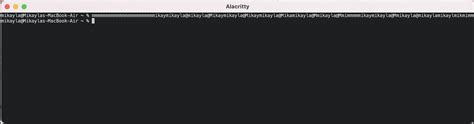 Resizing The Window Slowly Causes Some Smearing · Issue 6176 · Alacrittyalacritty · Github