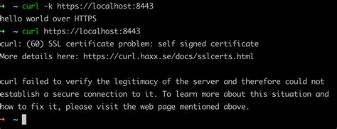 Nodejs使用并信任自签名ssl证书 文清闲话