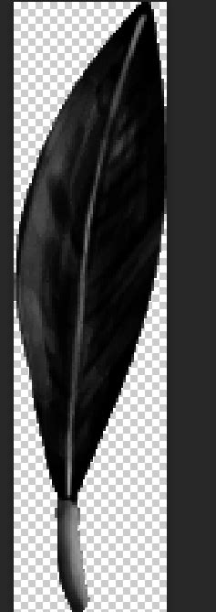 Creating Custom Brush With Full Opacity Adobe Community 13364586