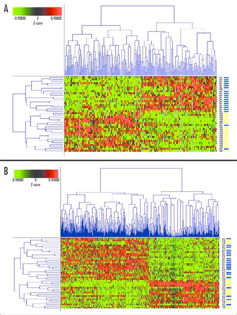 Twodimensional Hierarchical Clustering Of Pretreatment Blue Marker