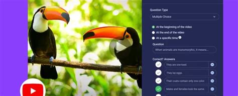 Everything You Need To Know About Using A Meme Font Screen Recorder And Video Editor Screenpal