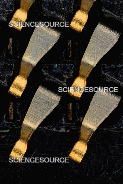 CPU Socket LGA Type Flexible Pins B Stock Image Science Source Images