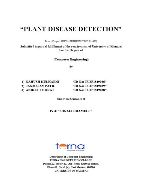 python mini project pdf image segmentation computer science