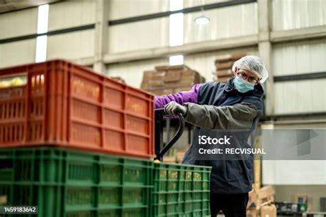 과일 유통 공장 노동자가 유기농 식품 생산 공장의 팔레트 트럭에서 상자를 옮기고 있다 음식에 대한 스톡 사진 및 기타 이미지